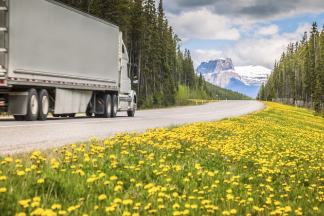 Alberta plans tougher penalties, stricter licensing to clean up ...